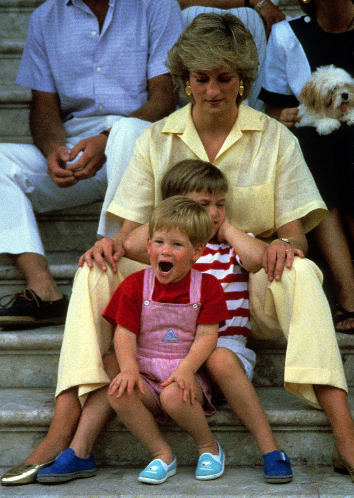 Princess Diana sat with Prince Harry and Prince William while on ...