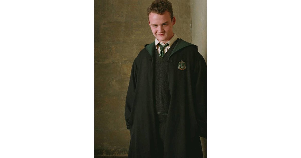Gregory Goyle, played by Josh Herdman | Harry Potter: Where Are All the ...