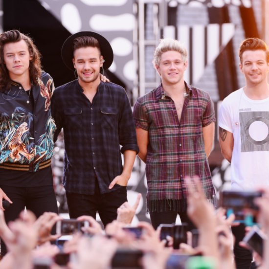 What It's Like to Be an Adult One Direction Fan | POPSUGAR Love & Sex